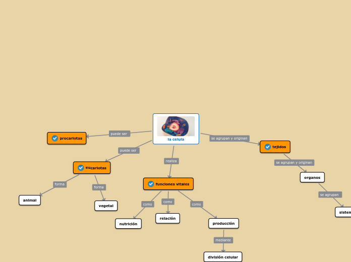 la celula - Mind Map